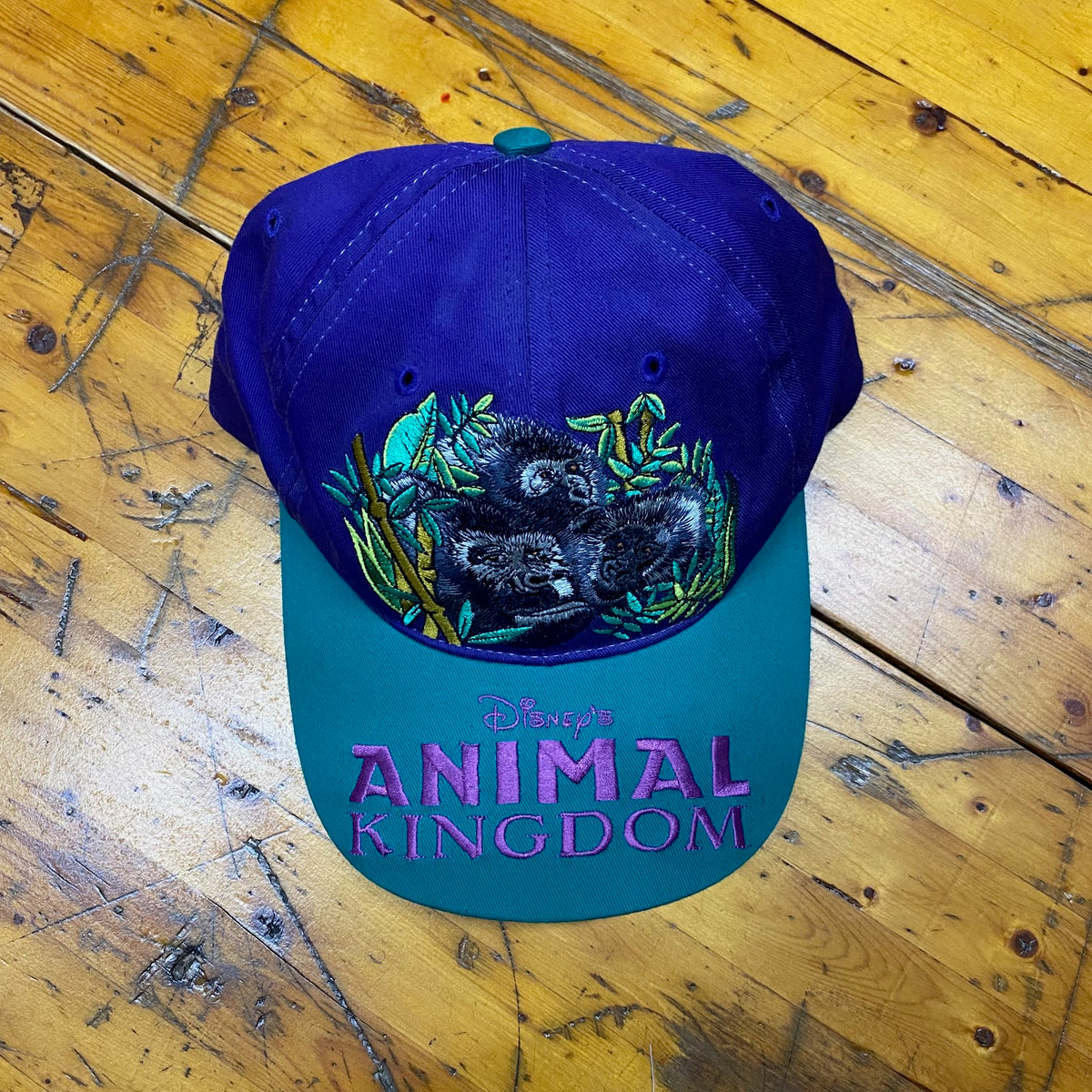Vintage Disney's Animal Kingdom Snapback – Cashed Out Vintage